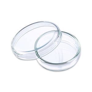 PETRI DISH W/LID 60X15(H)MM NEUTRAL GLASS EA