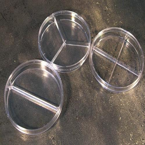 Aptaca Petri Dish | Livingstone International Healthcare, Laboratory ...