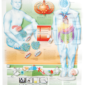 Health and Medical Charts