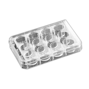 Cell Culture Plate Multidishes